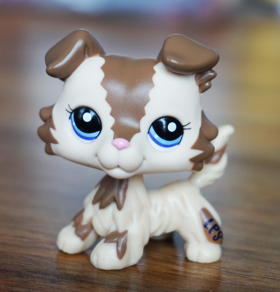Cream Tan Brown Collie Dog Littlest Pet Shop LPS 2210 Girl toys Blue Eyes | eBay
